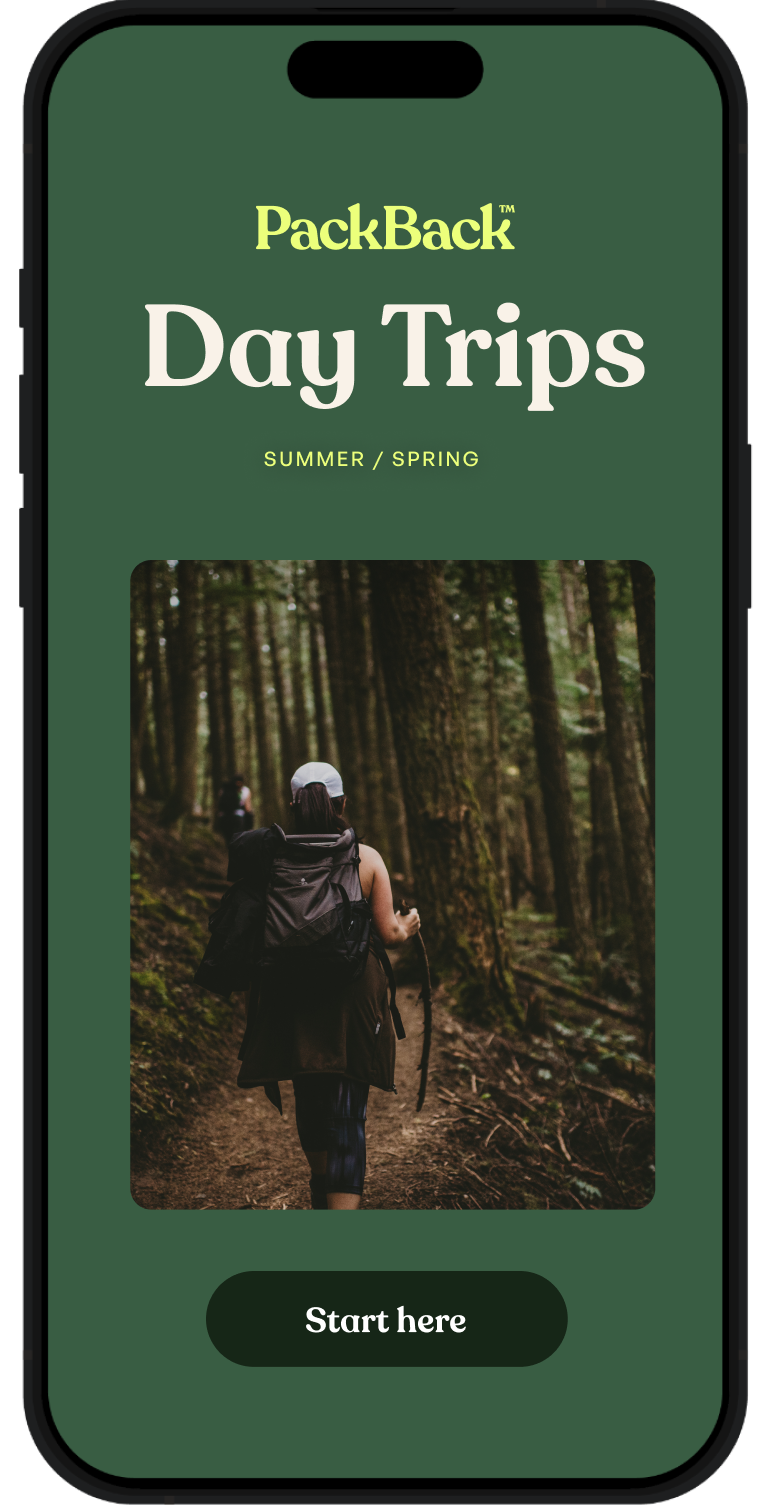 Brand Identity | True